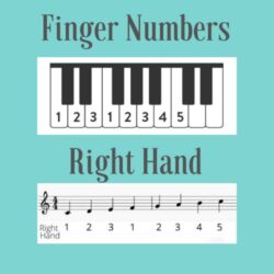 🎹 How to Play the C Major Scale on Piano: The Ultimate Guide ...